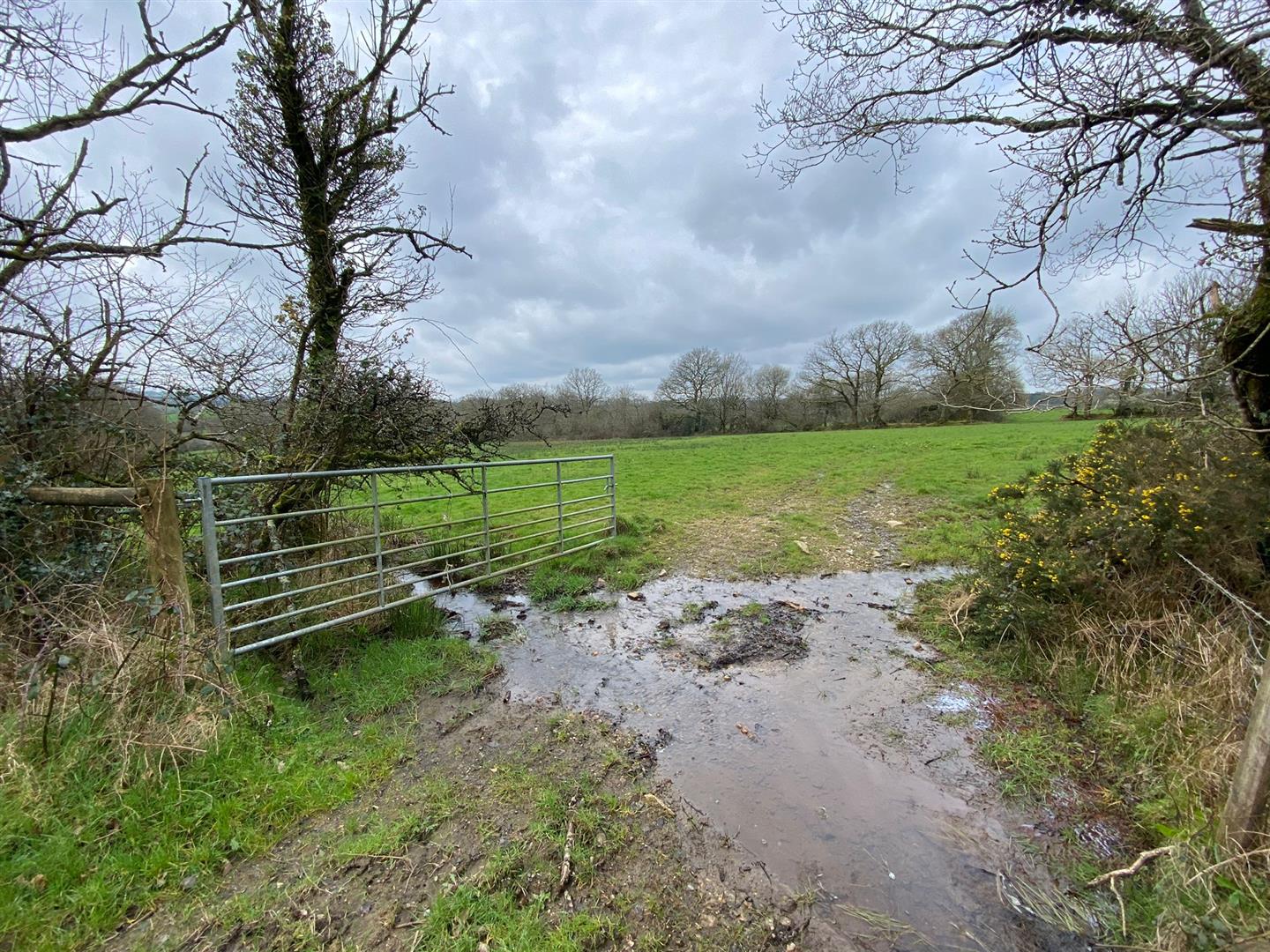 4.32 Acres Of Organic Land, Llanfallteg, Whitland – JJMorris
